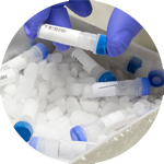 Torris & kolsyreis | Leverans inom 2 dagar | 3-BE.se